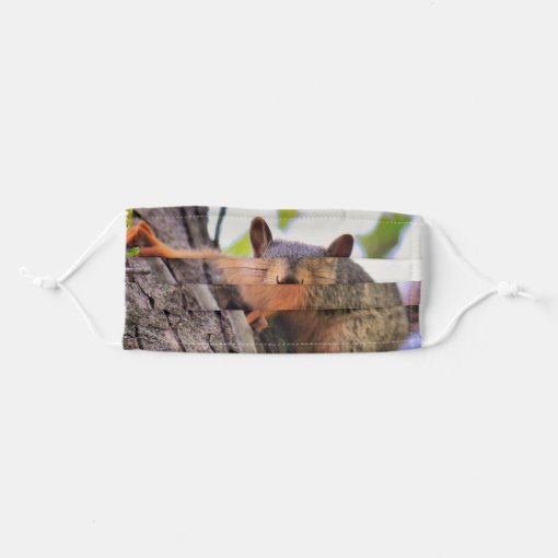 Curious Squirrel II Face Mask | Zazzle