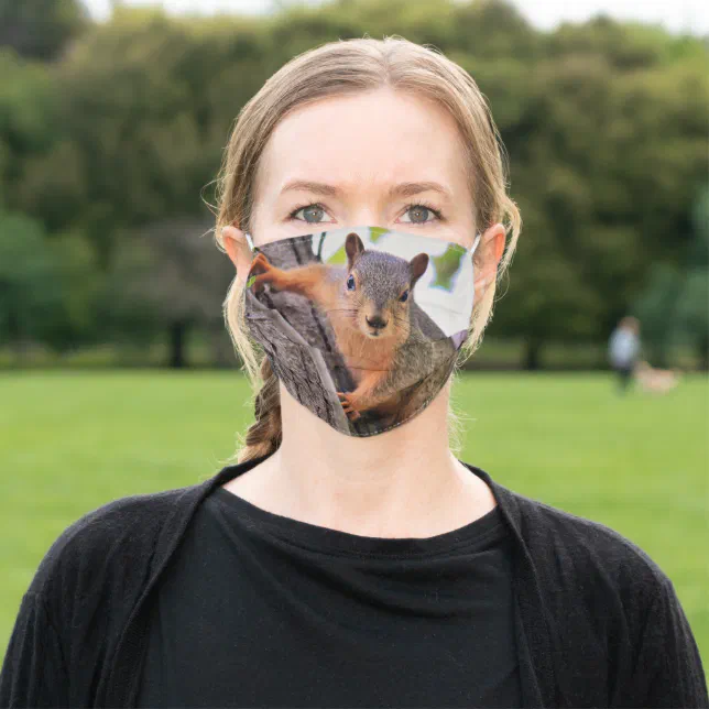 Curious Squirrel II Face Mask | Zazzle