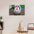 Curious turkey. poster | Zazzle