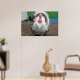 Curious turkey. poster | Zazzle