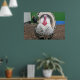 Curious turkey. poster | Zazzle