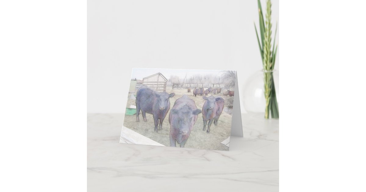 Curious Young Black Angus Thank You Card | Zazzle