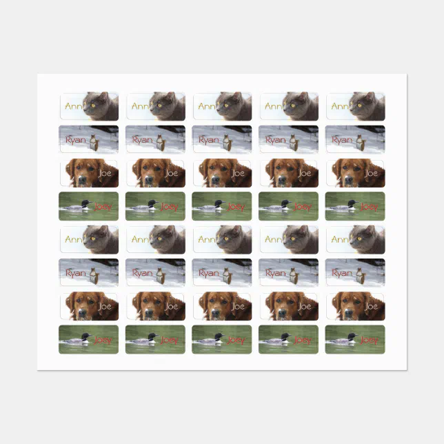 Custimizable Animal Stickers | Zazzle