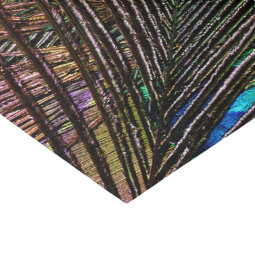 Custom 10lb Tissue Paper, PEACOCK FEATHER Tissue Paper | Zazzle