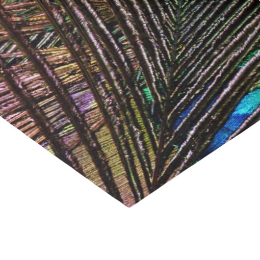 Custom 10lb Tissue Paper, PEACOCK FEATHER Tissue Paper | Zazzle