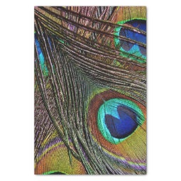 Custom 10lb Tissue Paper, PEACOCK FEATHER Tissue Paper | Zazzle