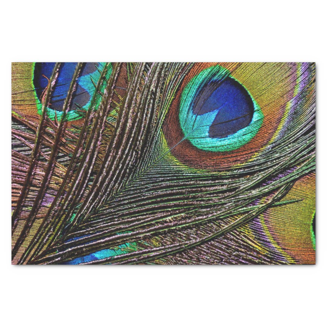 Custom 10lb Tissue Paper, PEACOCK FEATHER Tissue Paper | Zazzle