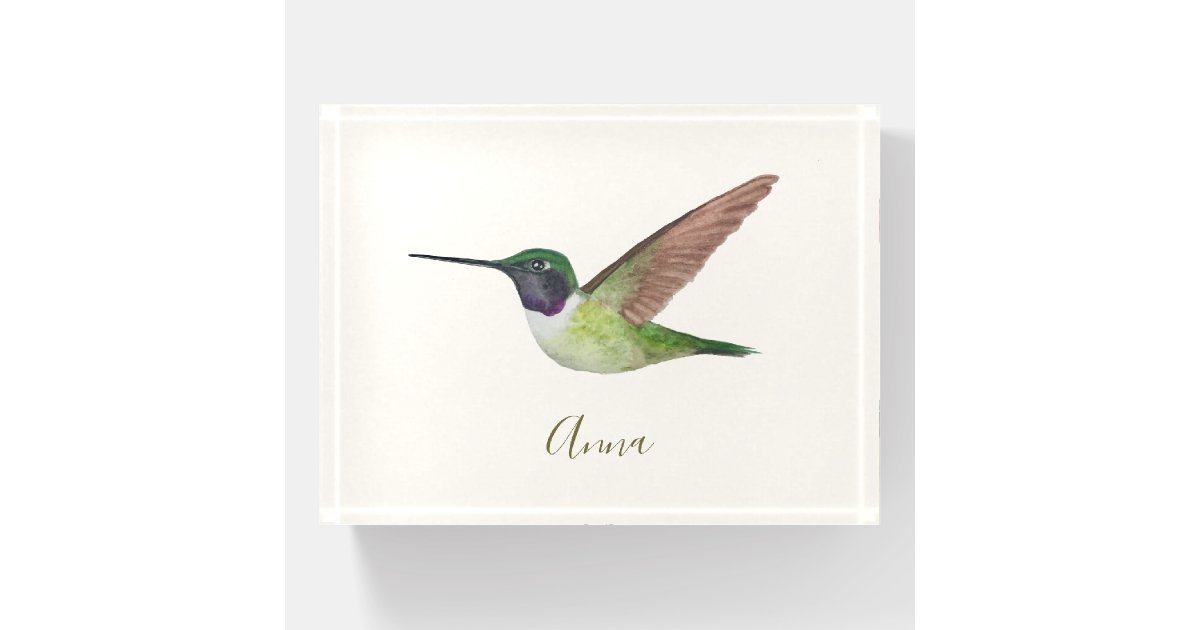 Custom Anna's Hummingbird Paperweight | Zazzle