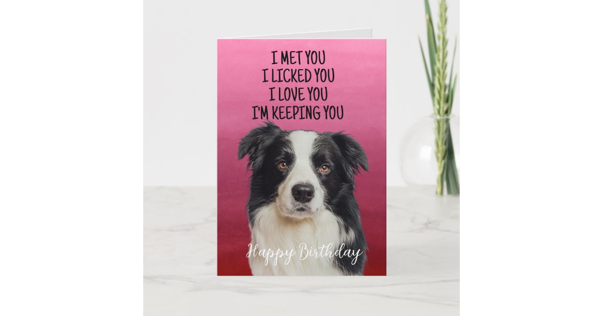 Custom Border Collie Birthday Card | Zazzle