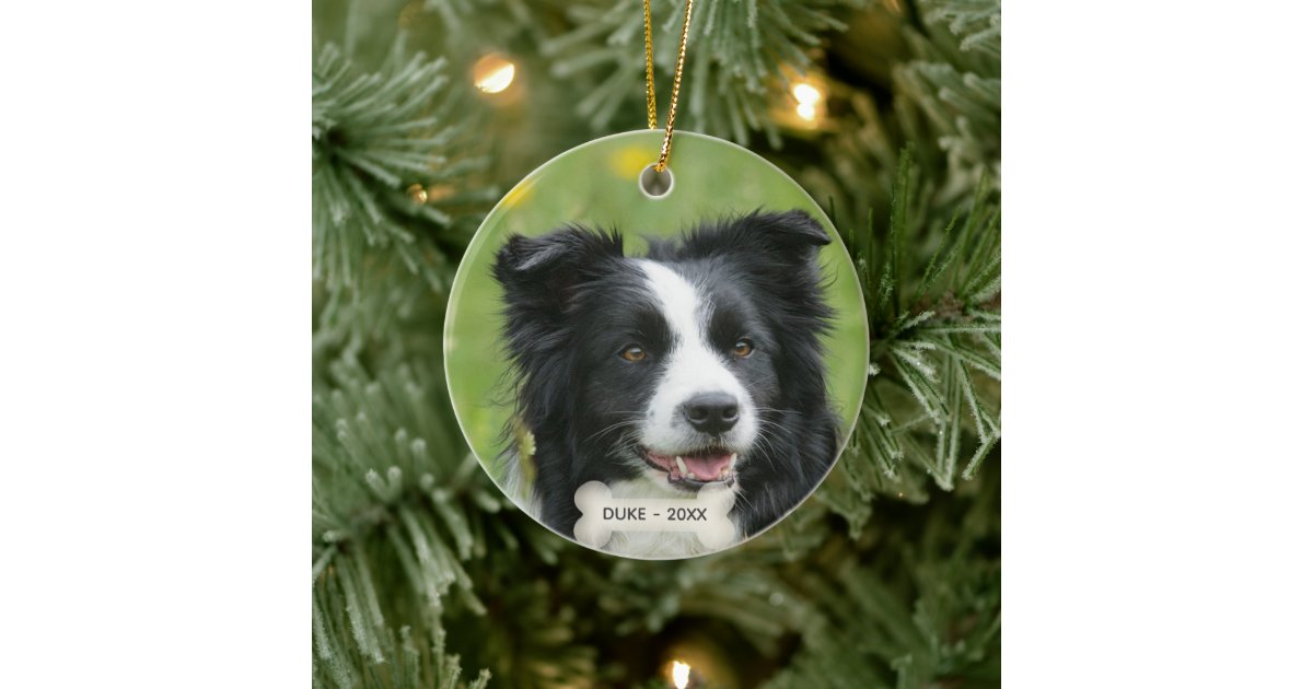 Custom Border Collie Dog Photo Ceramic Ornament | Zazzle