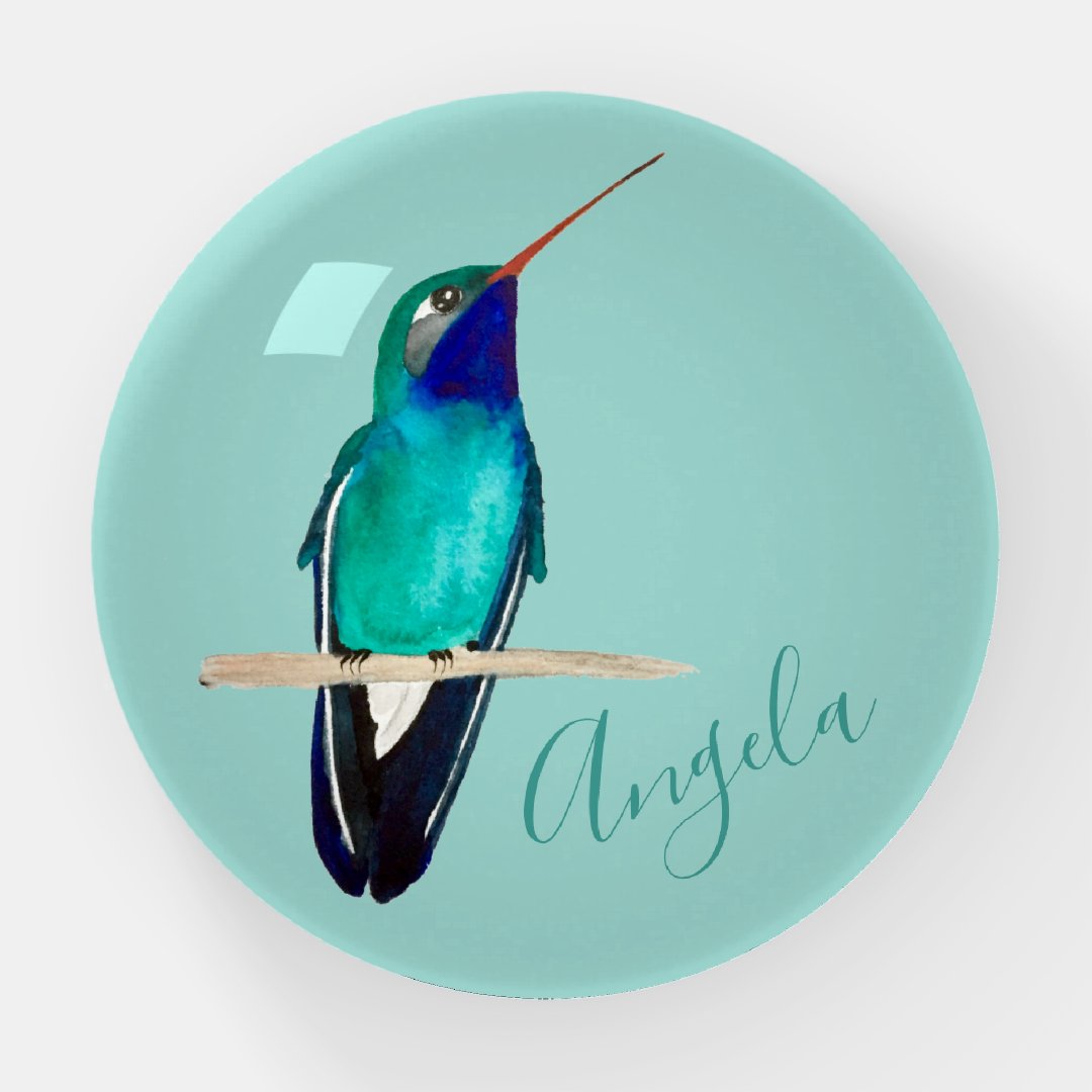 Custom Broad-billed Hummingbird Paperweight | Zazzle