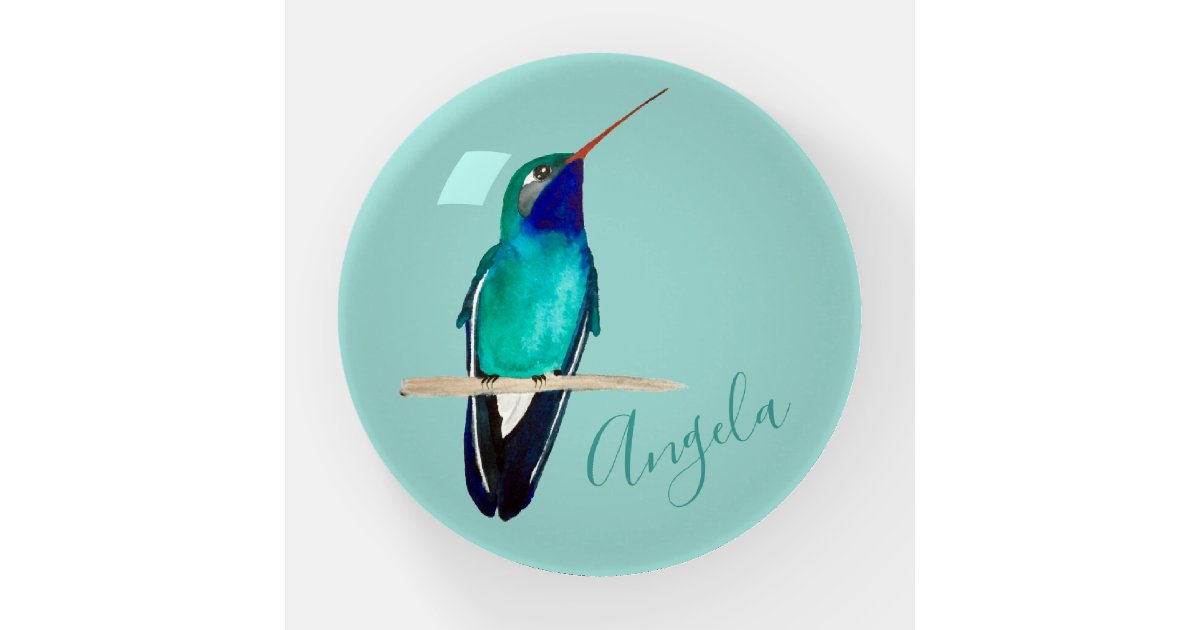 Custom Broad-billed Hummingbird Paperweight | Zazzle