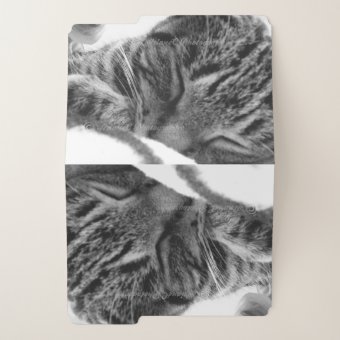 Custom cat photo animal shelter file folders | Zazzle