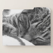 Custom cat photo animal shelter file folders | Zazzle
