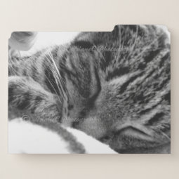 Custom cat photo animal shelter file folders | Zazzle