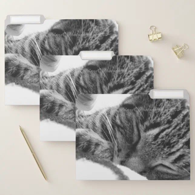 Custom cat photo animal shelter file folders | Zazzle