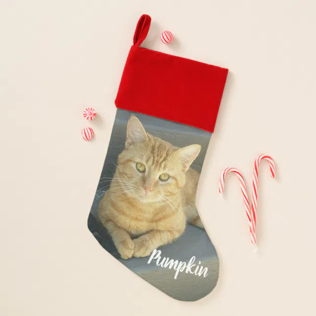 Custom Cat Photo Pet's Name Christmas Stocking | Zazzle