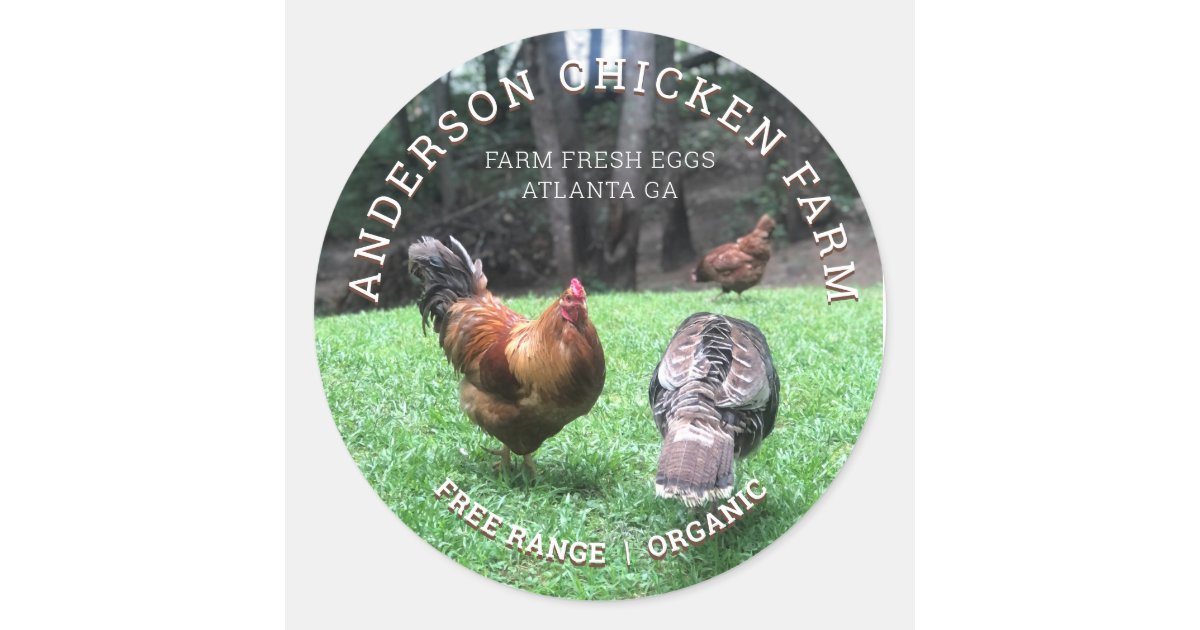 Custom Chicken Farm Egg Stickers | Zazzle