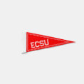 Custom College Red Pennant Flag | Zazzle