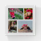 Custom Color Four Photo Collage Paperweight | Zazzle