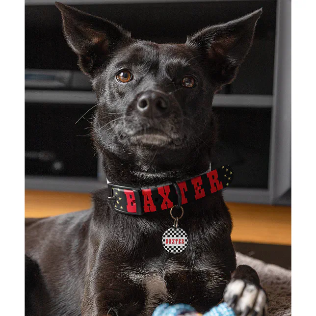 Custom Cool Black Gold Stars Red Dog Puppy Name Pet Collar | Zazzle