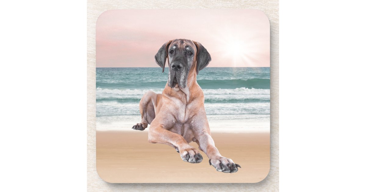 Custom Cute Great Dane Dog Sitting on Beach Drink Coaster | Zazzle