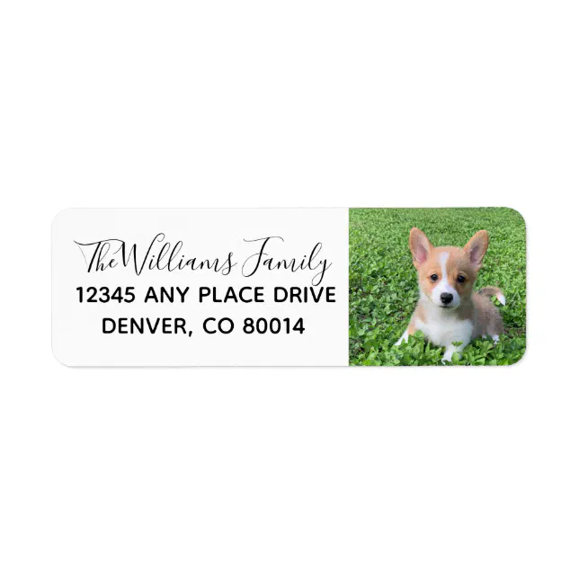 Custom Cute Pet Photo Dog Owner Photograph Label | Zazzle