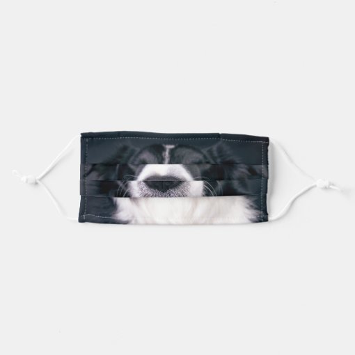Custom Dog Photo Adult Cloth Face Mask | Zazzle