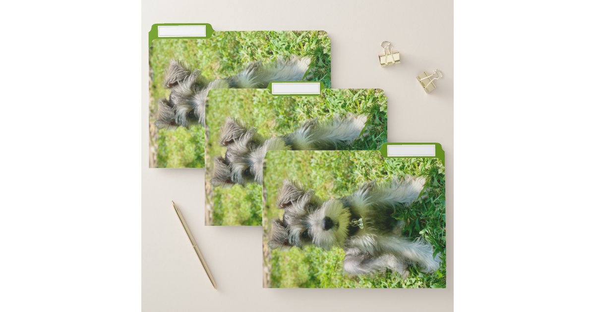 Custom Dog Photo File Folder | Zazzle