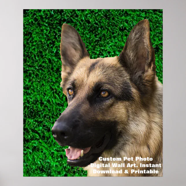 Custom Dog Photo Poster- Personalized Pet Memorial Poster | Zazzle