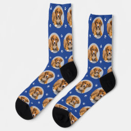 Custom Dog Photo Royal Blue Paw Print Socks | Zazzle