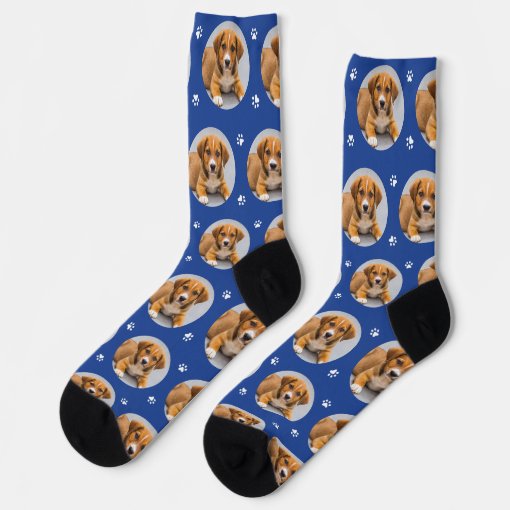 Custom Dog Photo Royal Blue Paw Print Socks | Zazzle