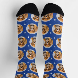 Custom Dog Photo Royal Blue Paw Print Socks | Zazzle