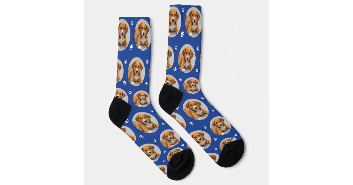 Custom Dog Photo Royal Blue Paw Print Socks | Zazzle