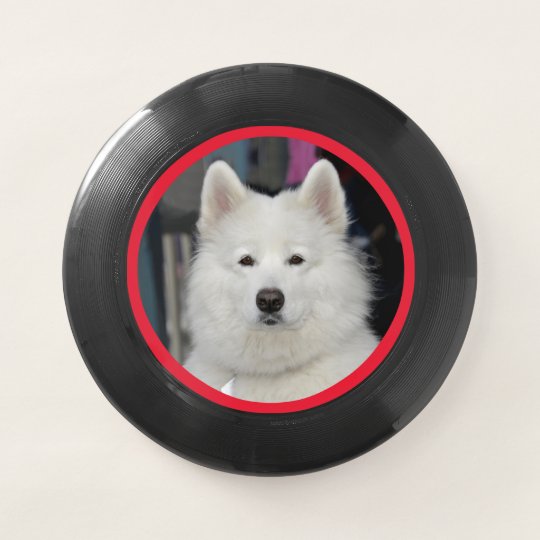 Custom Dog Photo Wham-O Frisbee | Zazzle.com