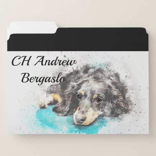Custom File Folders | Zazzle