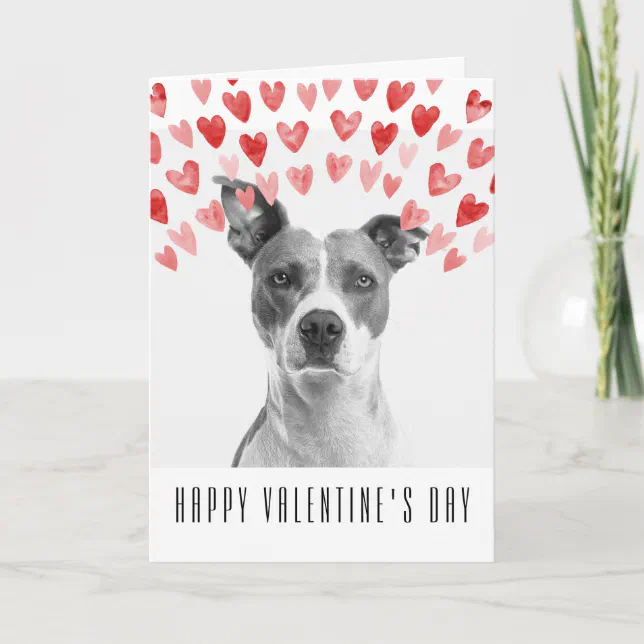 Custom Happy Valentine's Day from the Dog Card | Zazzle