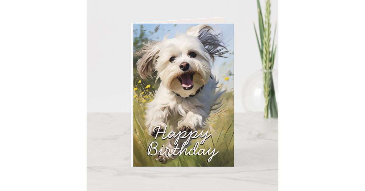 Custom Havanese Birthday Card | Zazzle