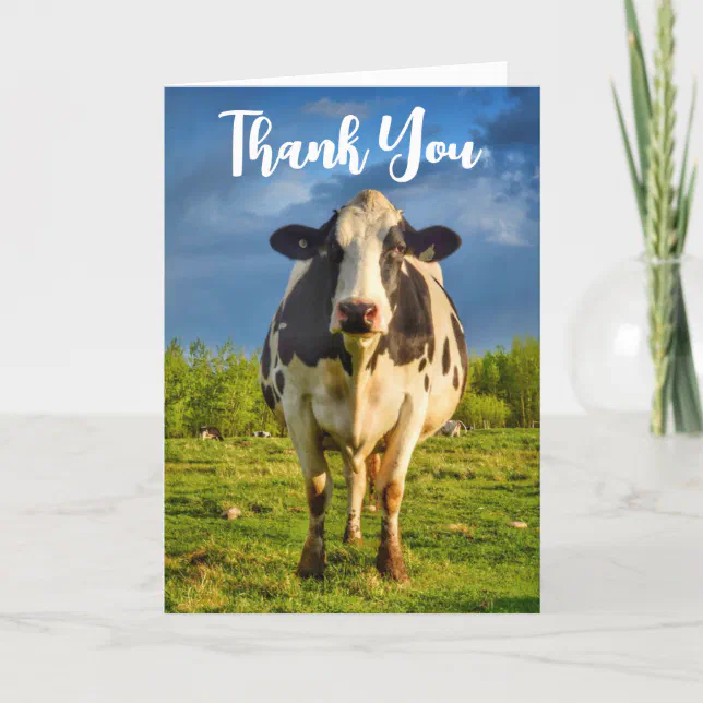 Custom Holstein Cow Thank You Card | Zazzle
