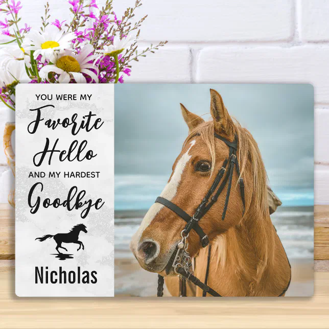 Custom Horse Memorial Photo Favorite Hello Equine Plaque | Zazzle
