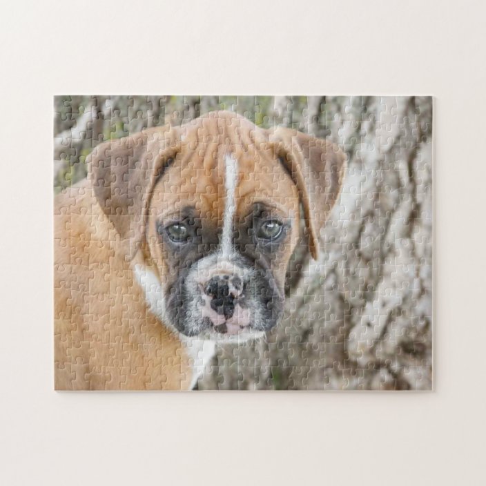 Custom Jigsaw Puzzles- Cute Fawn Boxer Puppy Jigsaw Puzzle | Zazzle.com