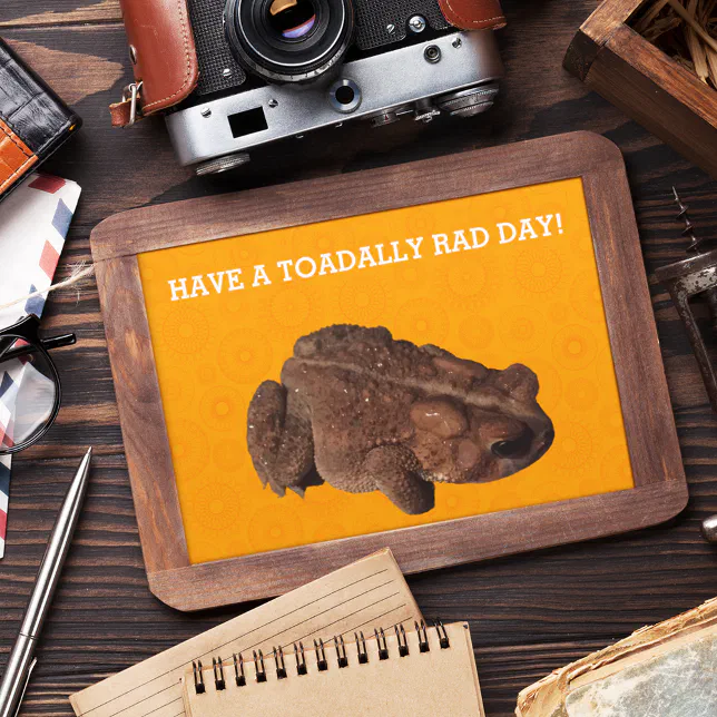 Custom Message Orange American Toad Photo Postcard | Zazzle