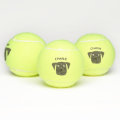 Custom Name Cute Dog Tennis Balls | Zazzle