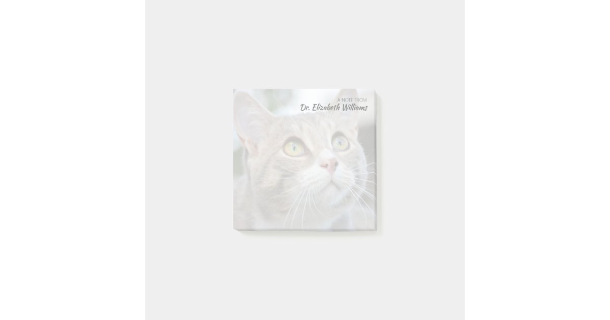 Custom Note from Veterinarian with Faded Cat Photo | Zazzle