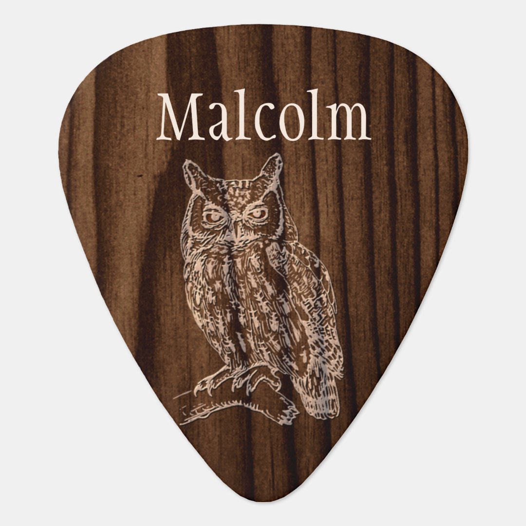 Custom Owl Guitar Pick | Zazzle