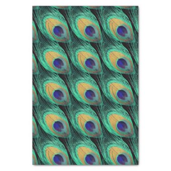 Custom Peacock Feather Print Tissue Paper | Zazzle