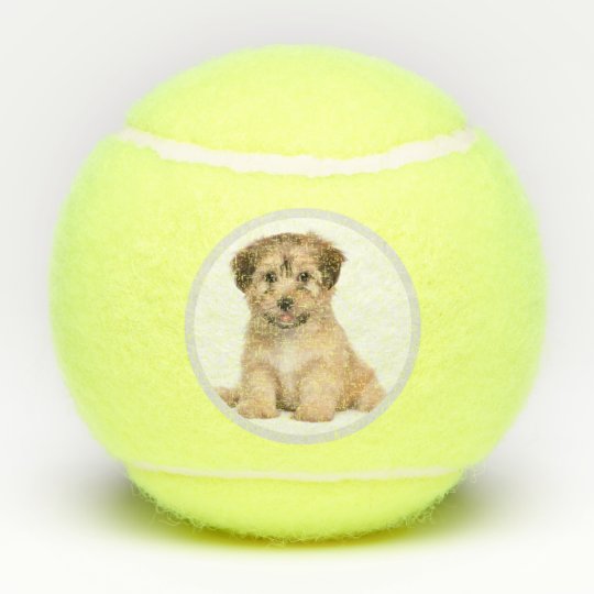 Custom Personalized Dog Photo Tennis Balls | Zazzle.com