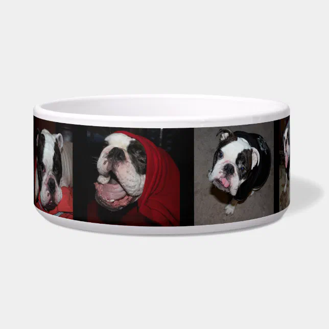Custom Personalized Photo Pet Dog Bowl | Zazzle