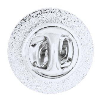 Custom Personalized Silver Plate Round Lapel Pin | Zazzle