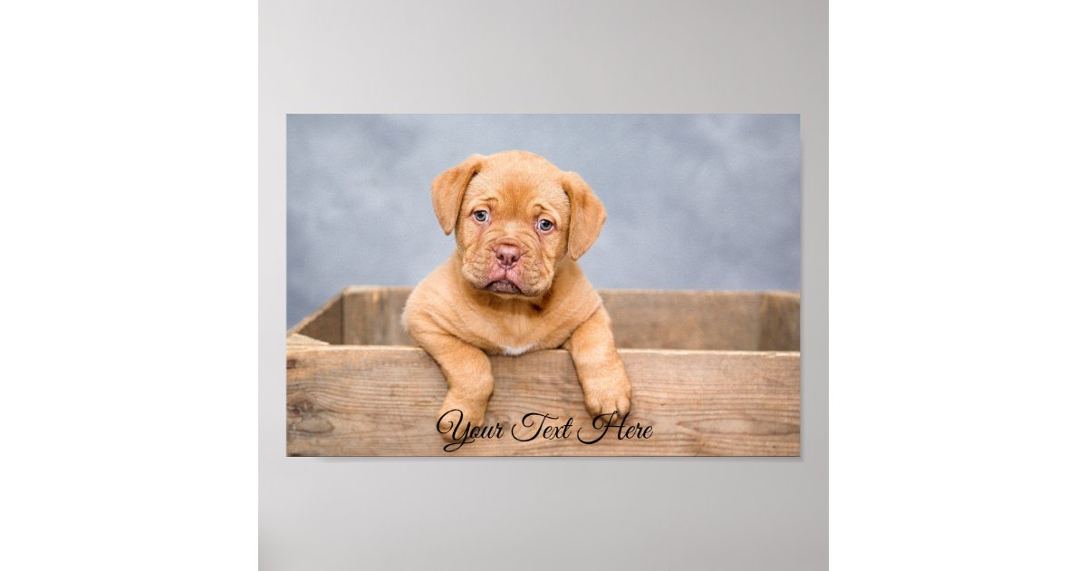 Custom Personalized Wide Poster Photo Print | Zazzle
